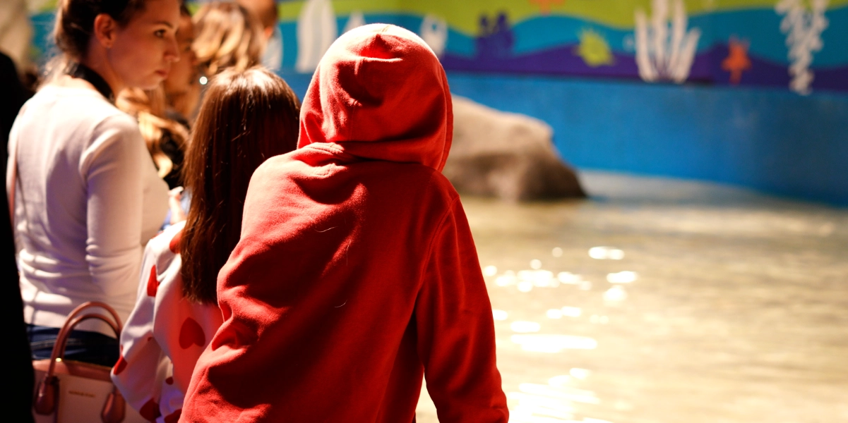 Jungle Reef | Buy Tickets